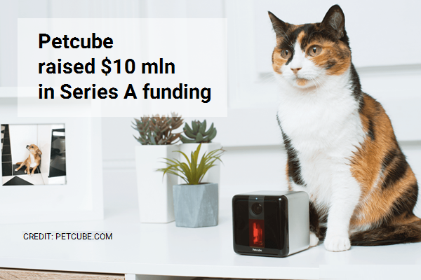 Petcube has raised $10 million in Series A funding | Digital Future